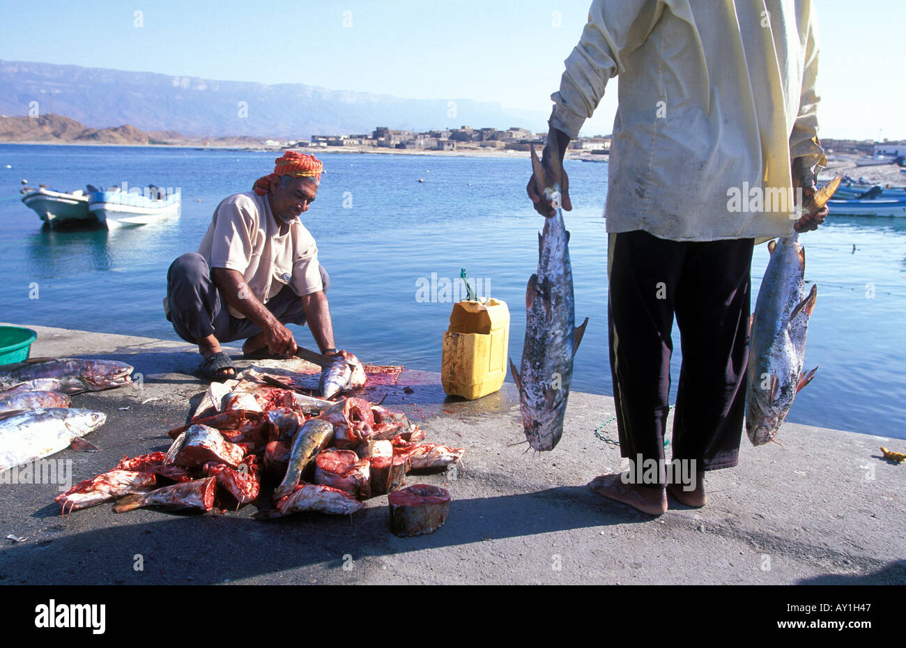 Mirbat Fish Market Mirbat Oman Stock Photo - Alamy