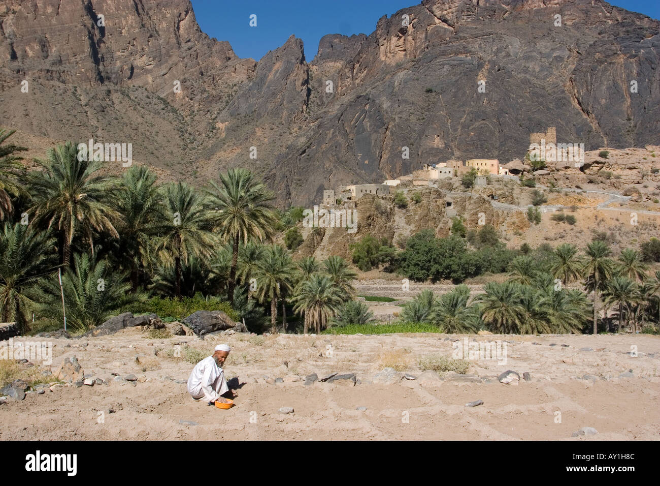 Man working in the field Bilad Sayt village Wadi Bani Hajar Mountains ...