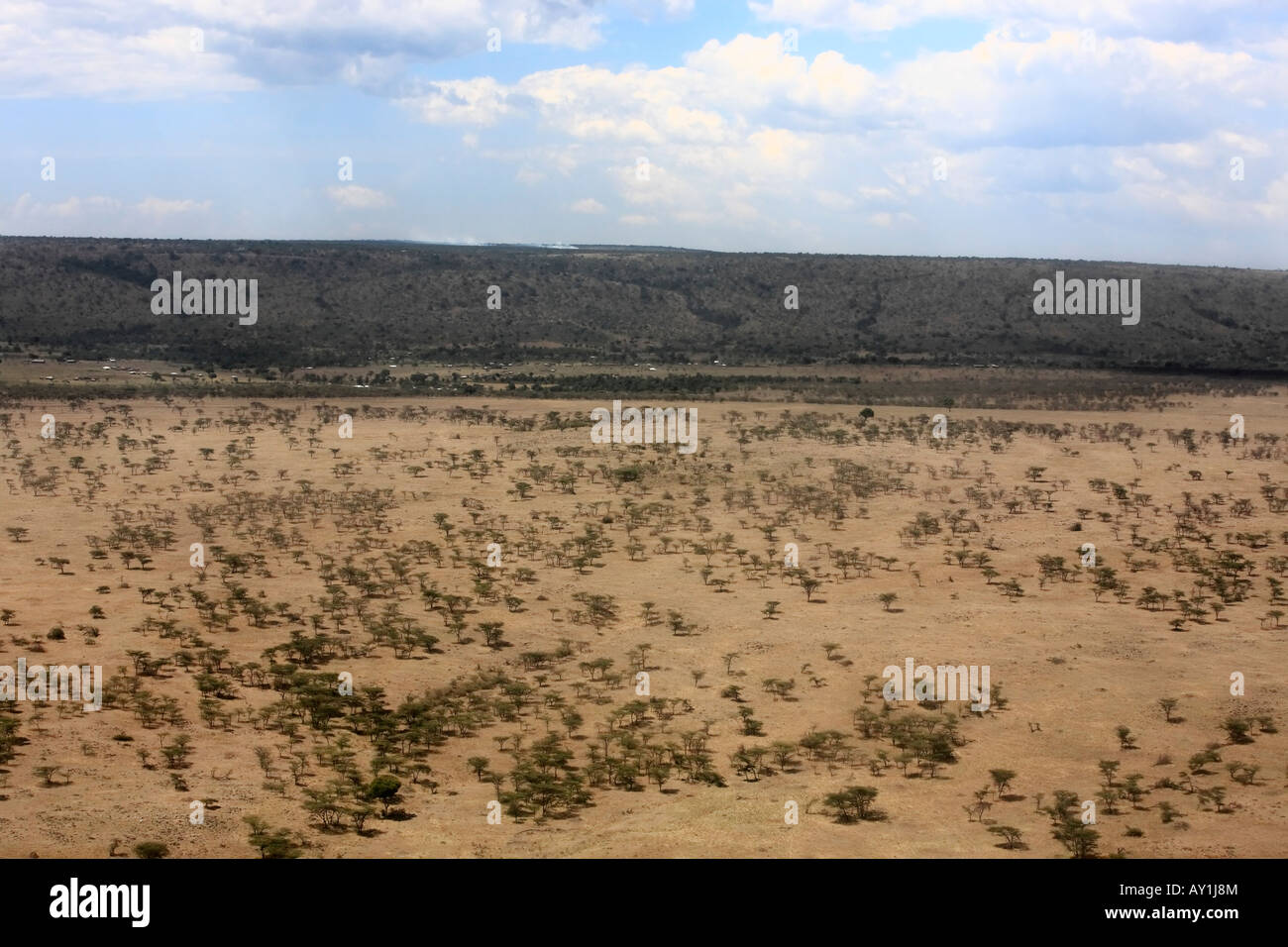 in the beautiful plains of the masai reserve in kenya africa Stock ...