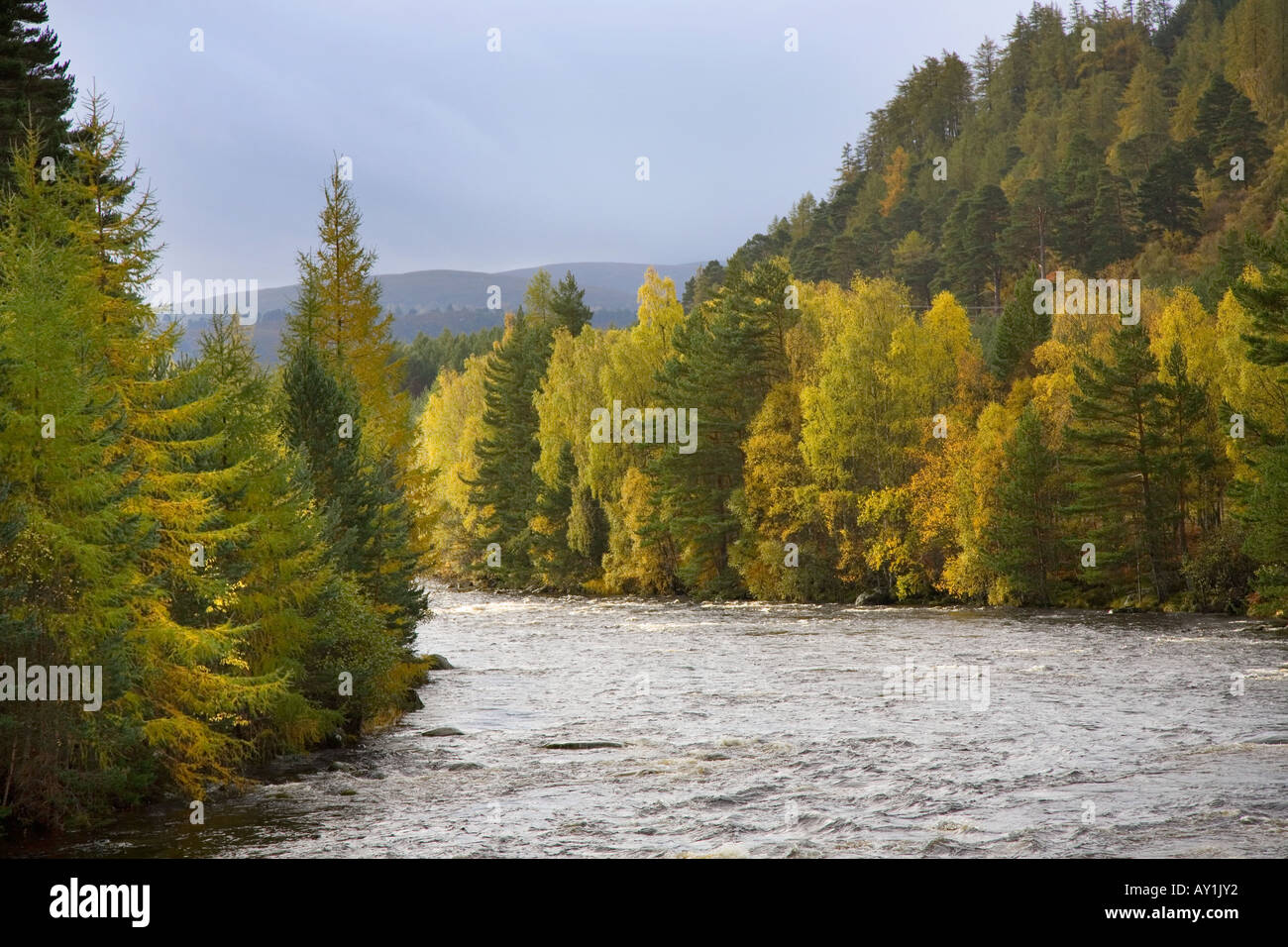 River Dee Scotland , Royal Deeside, Cairngorm National Park uk Stock ...