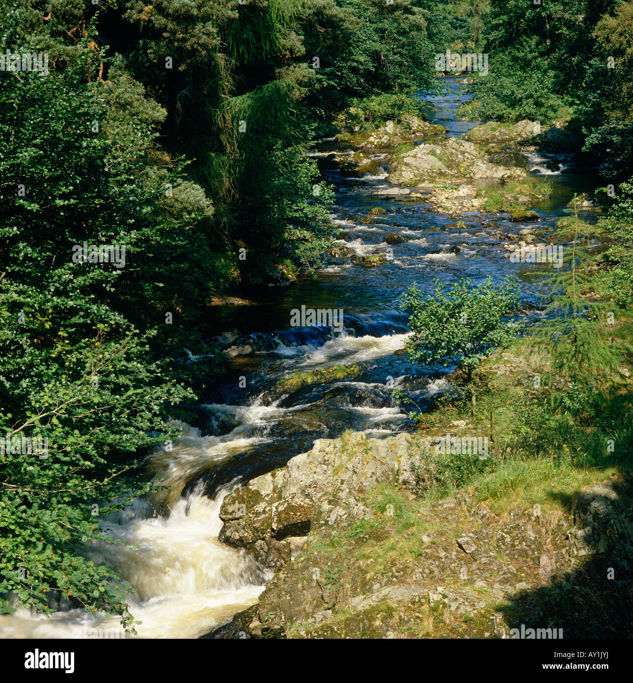 Scottish stream hi-res stock photography and images - Alamy