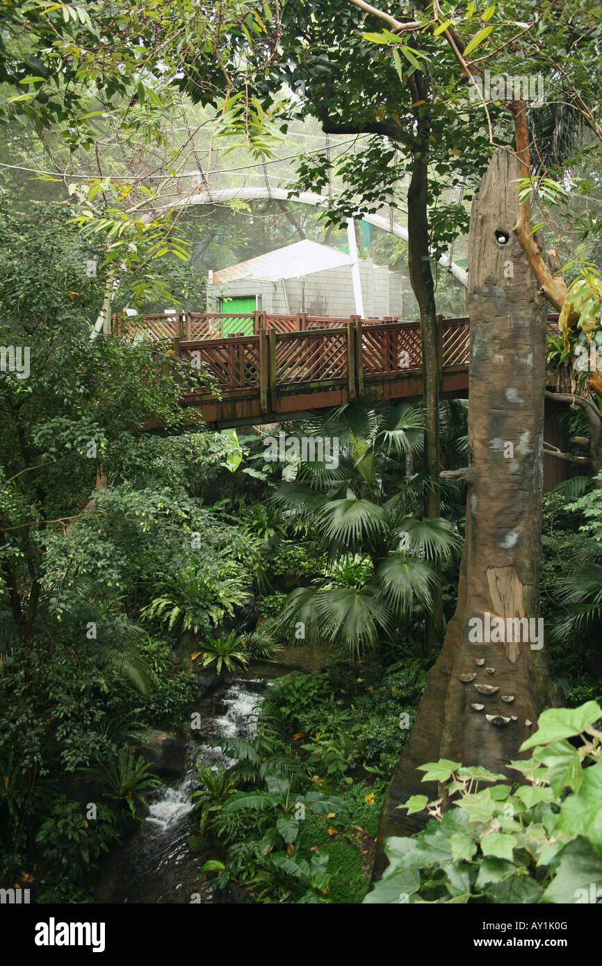 interior of walk through aviary Hong Kong Park April 2008 Stock Photo ...