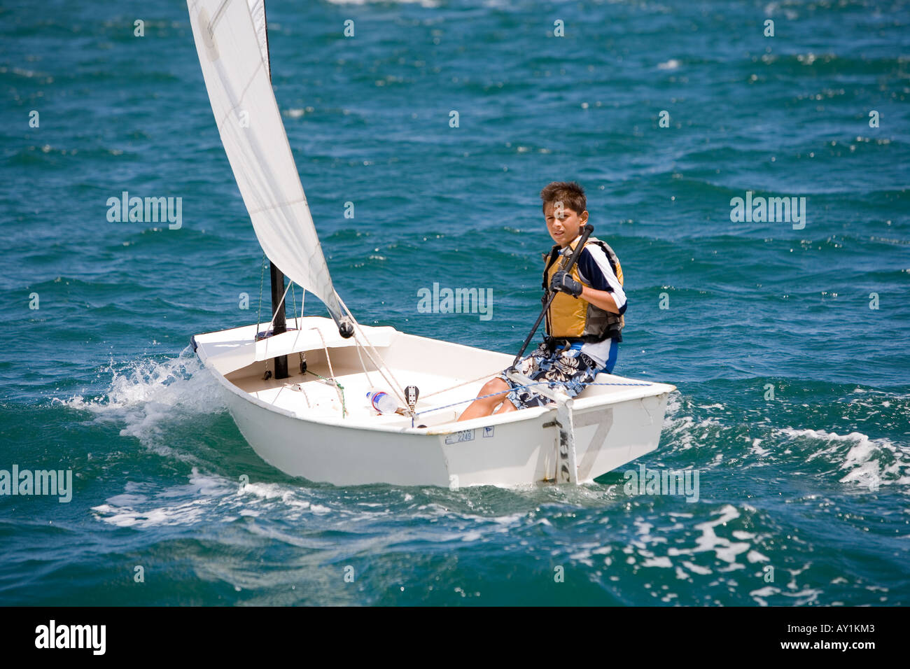 Boy sailing an El Toro dinghy Stock Photo - Alamy