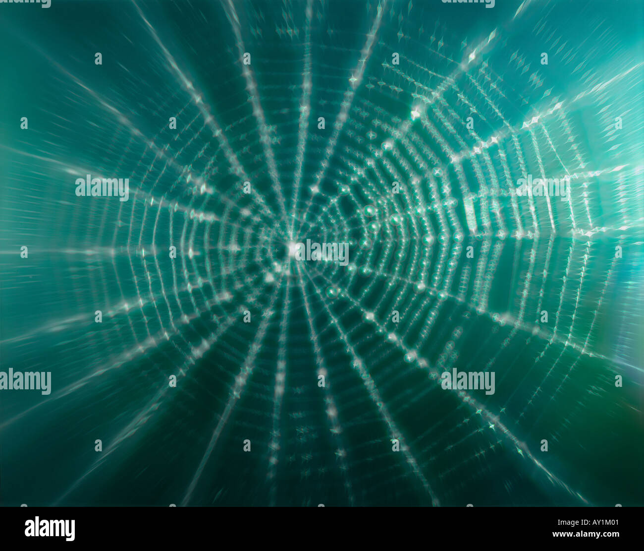 Cobweb and dew Stock Photo - Alamy