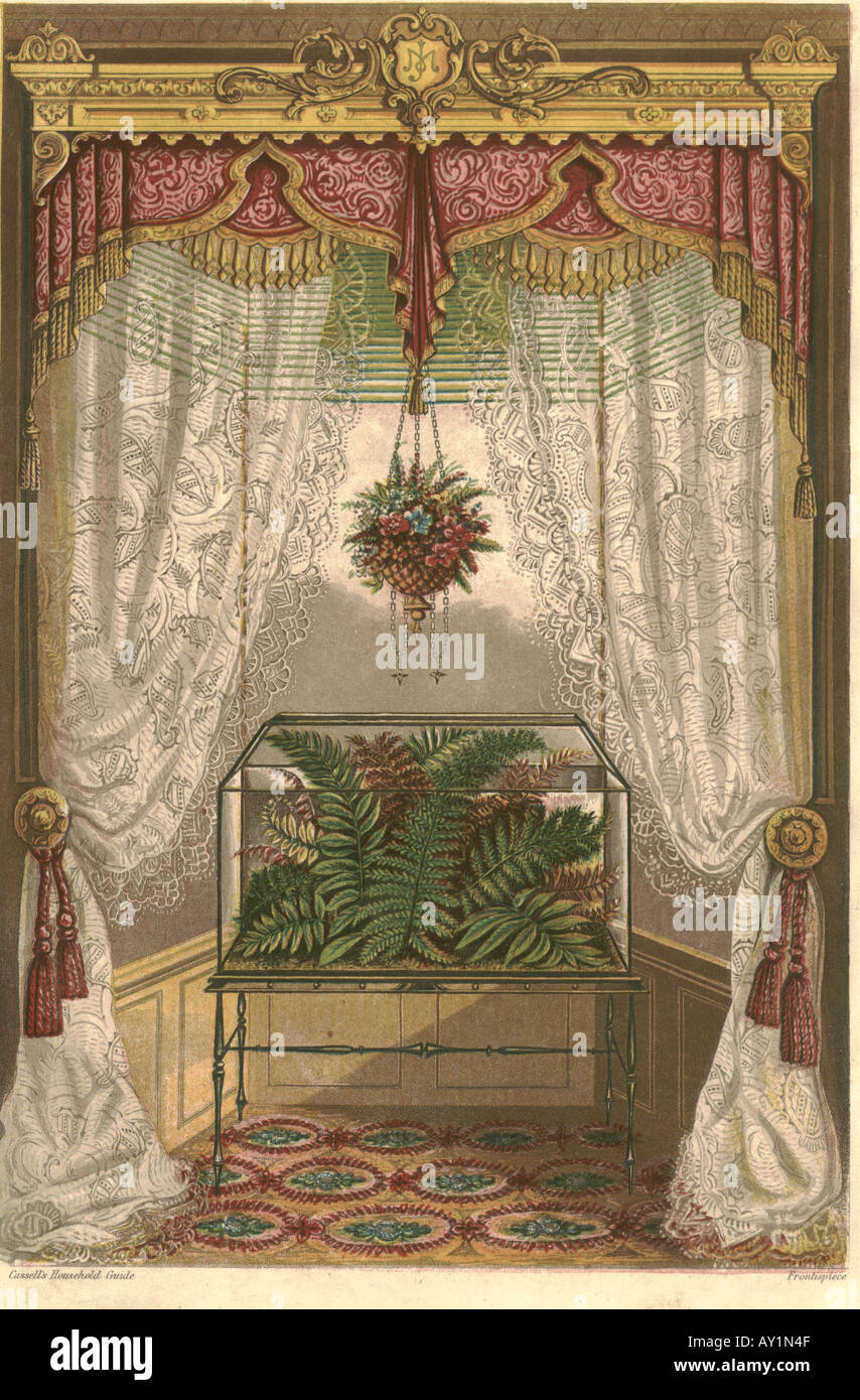 Fern window decoration circa 1880 Stock Photo - Alamy