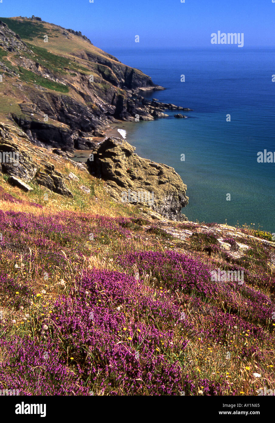 Soar Mill Cove Devon Path High Resolution Stock Photography and Images ...