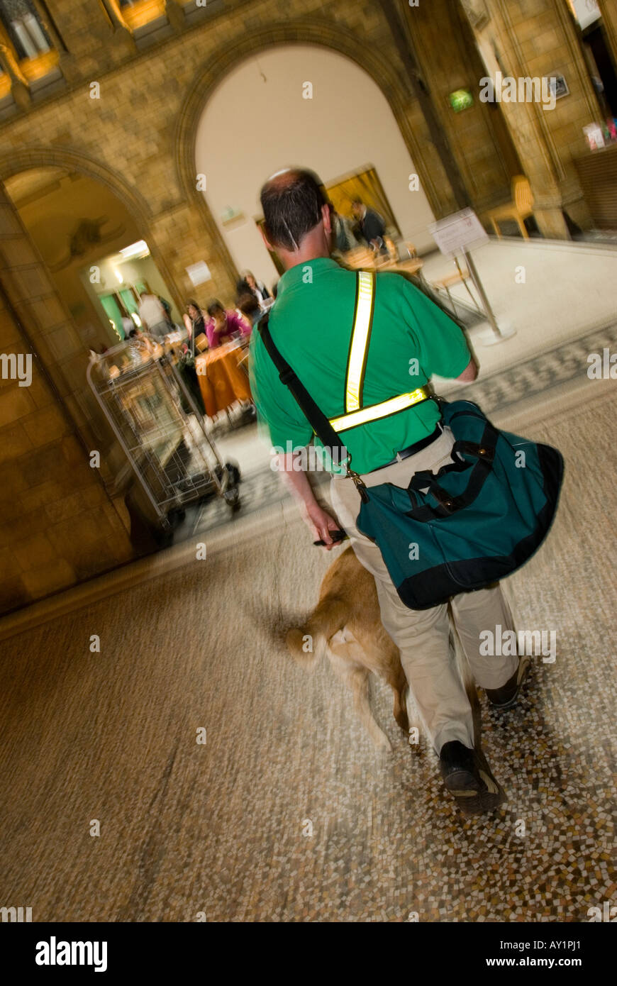 Blind man walking with guide dog in Natural History Museum where he ...