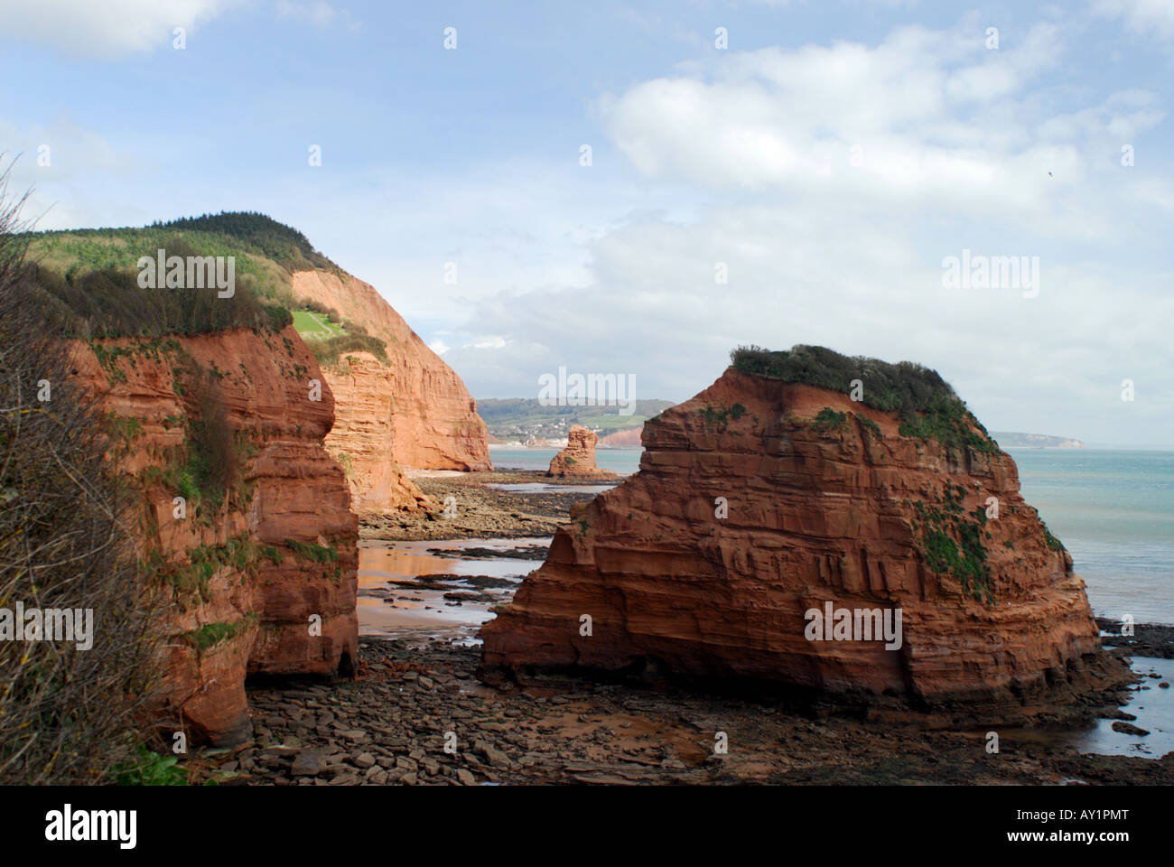 Rock stacks at Ladram Bay East Devon Stock Photo - Alamy