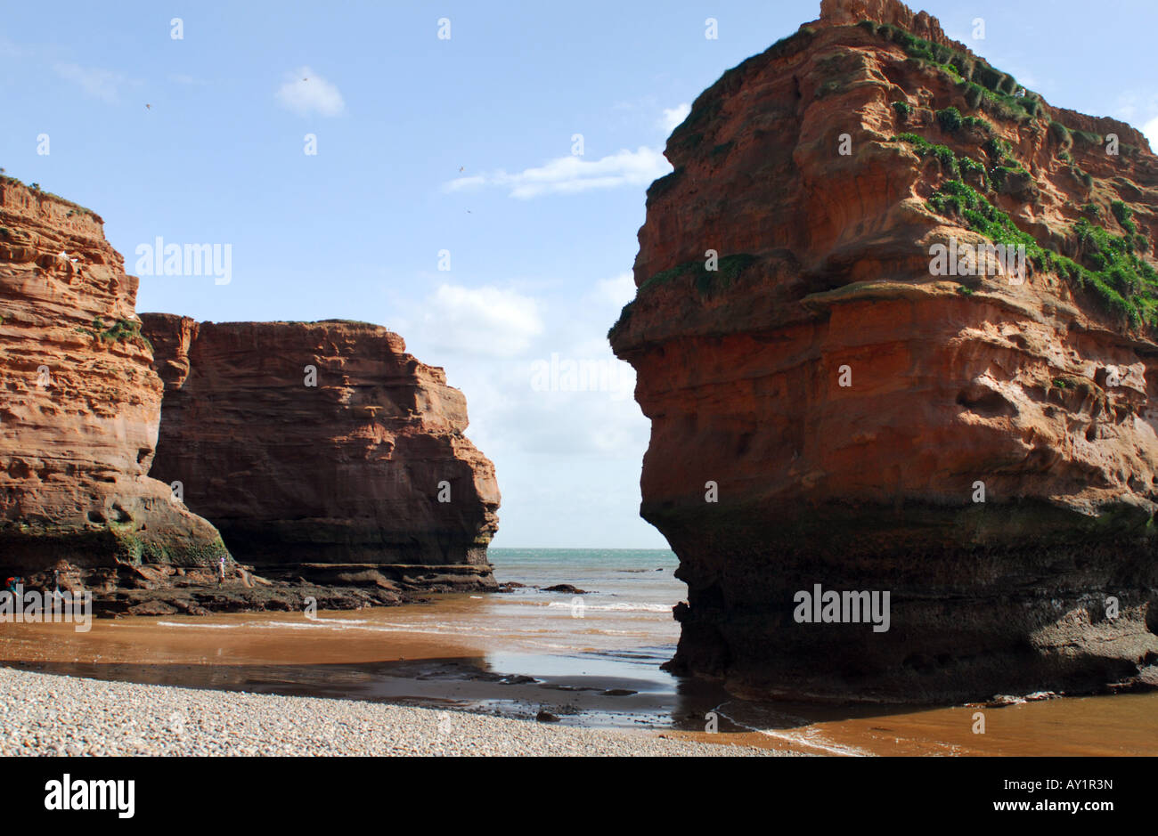 Rock stacks at Ladram Bay East Devon Stock Photo - Alamy