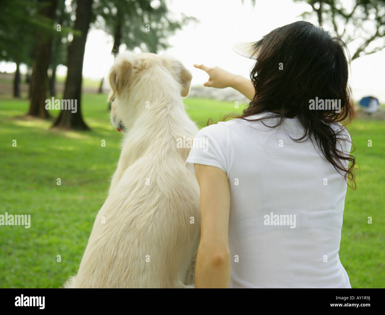 Rear view of a mid adult woman sitting with a Labrador retriever ...