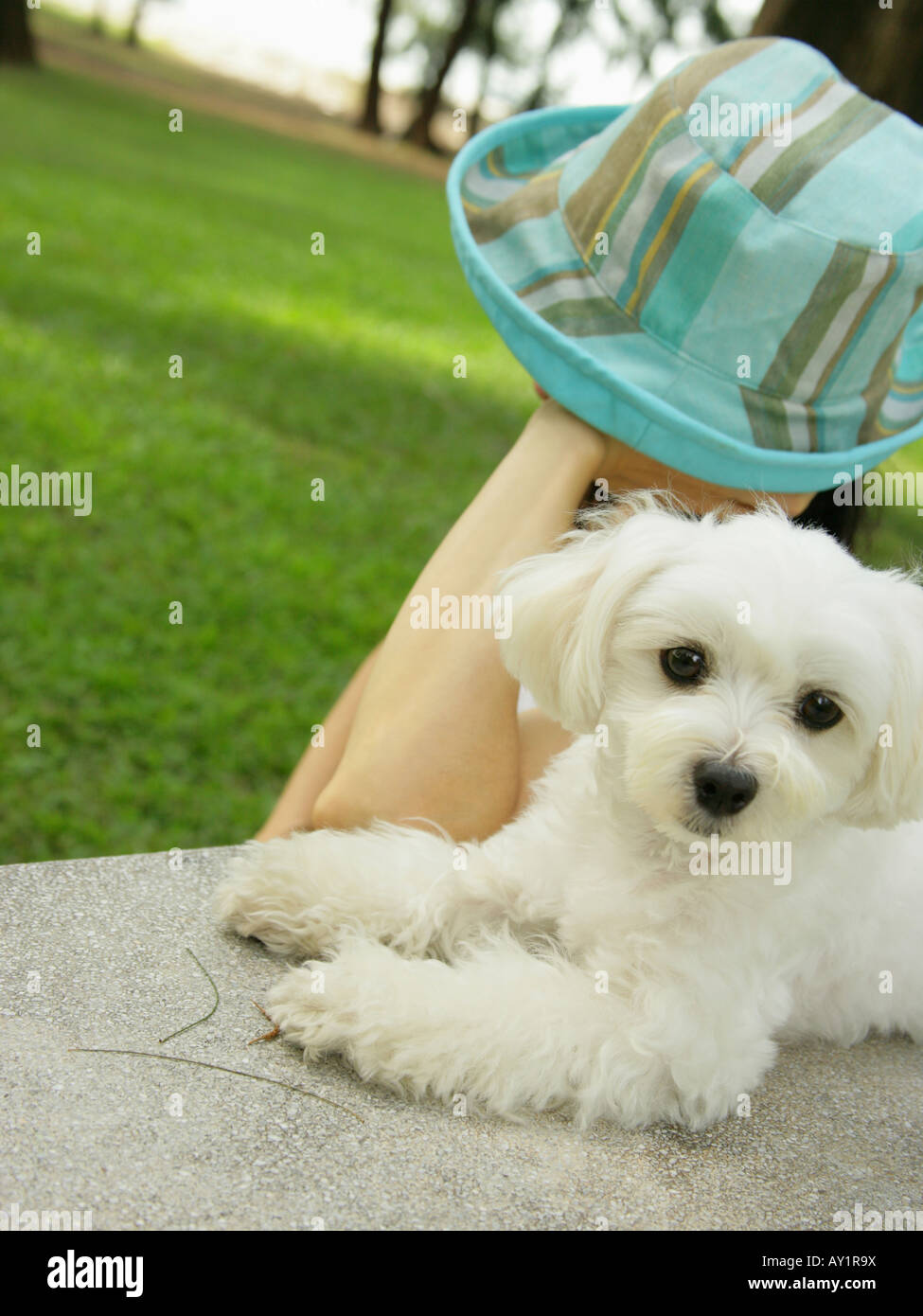 Maltese ethnicity hi-res stock photography and images - Alamy