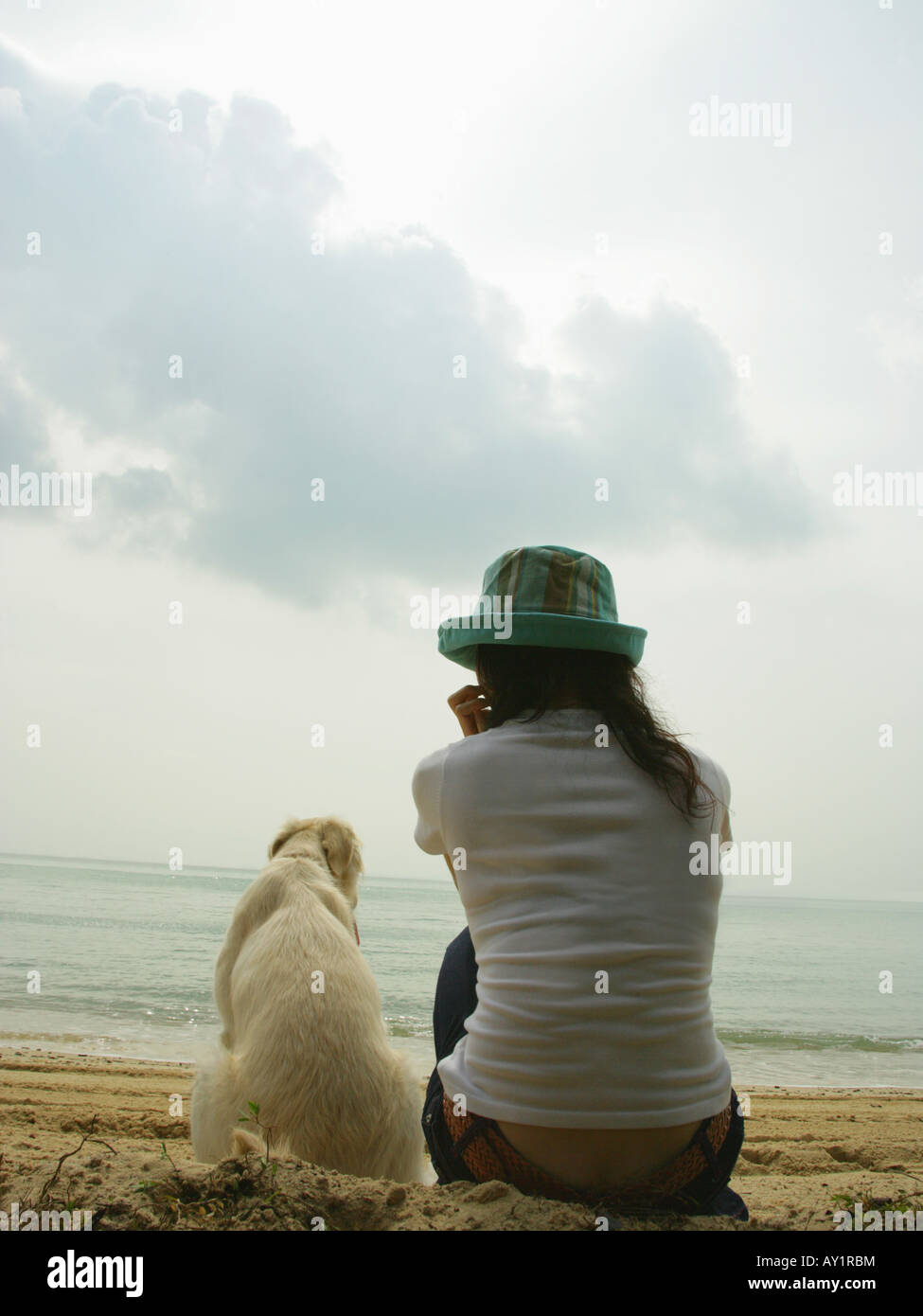 Rear view of a mid adult woman sitting on the beach with a Labrador ...