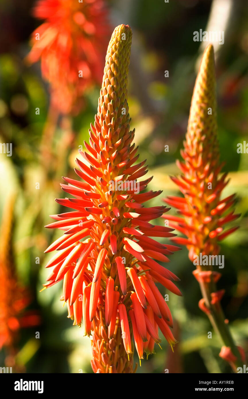 Laguna vera hi-res stock photography and images - Alamy