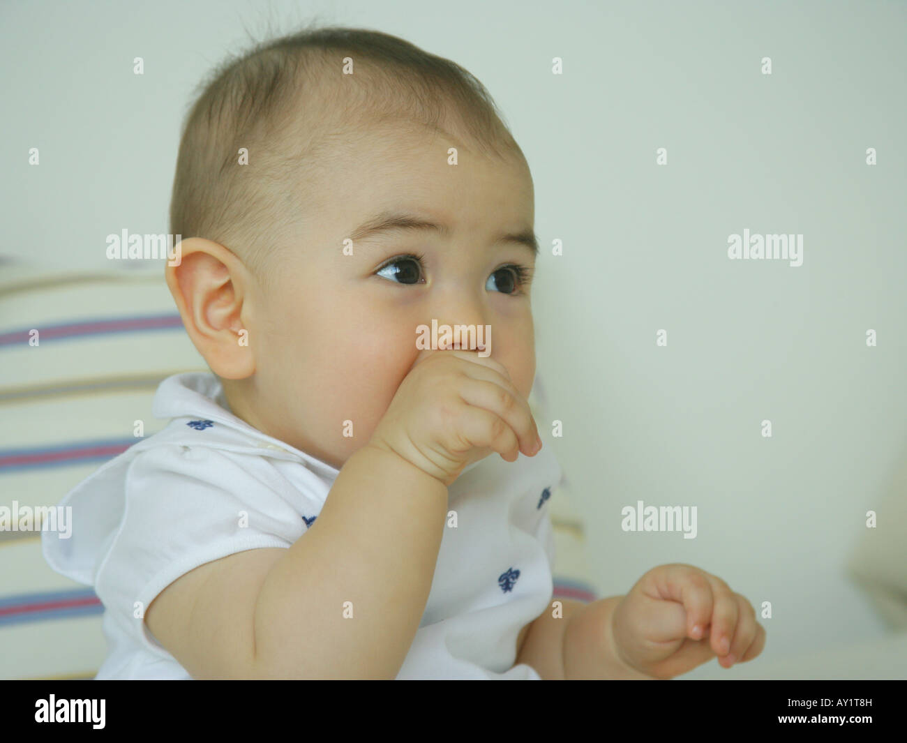 Infant sitting on a cushion infant sitting on a cushion hi-res stock ...
