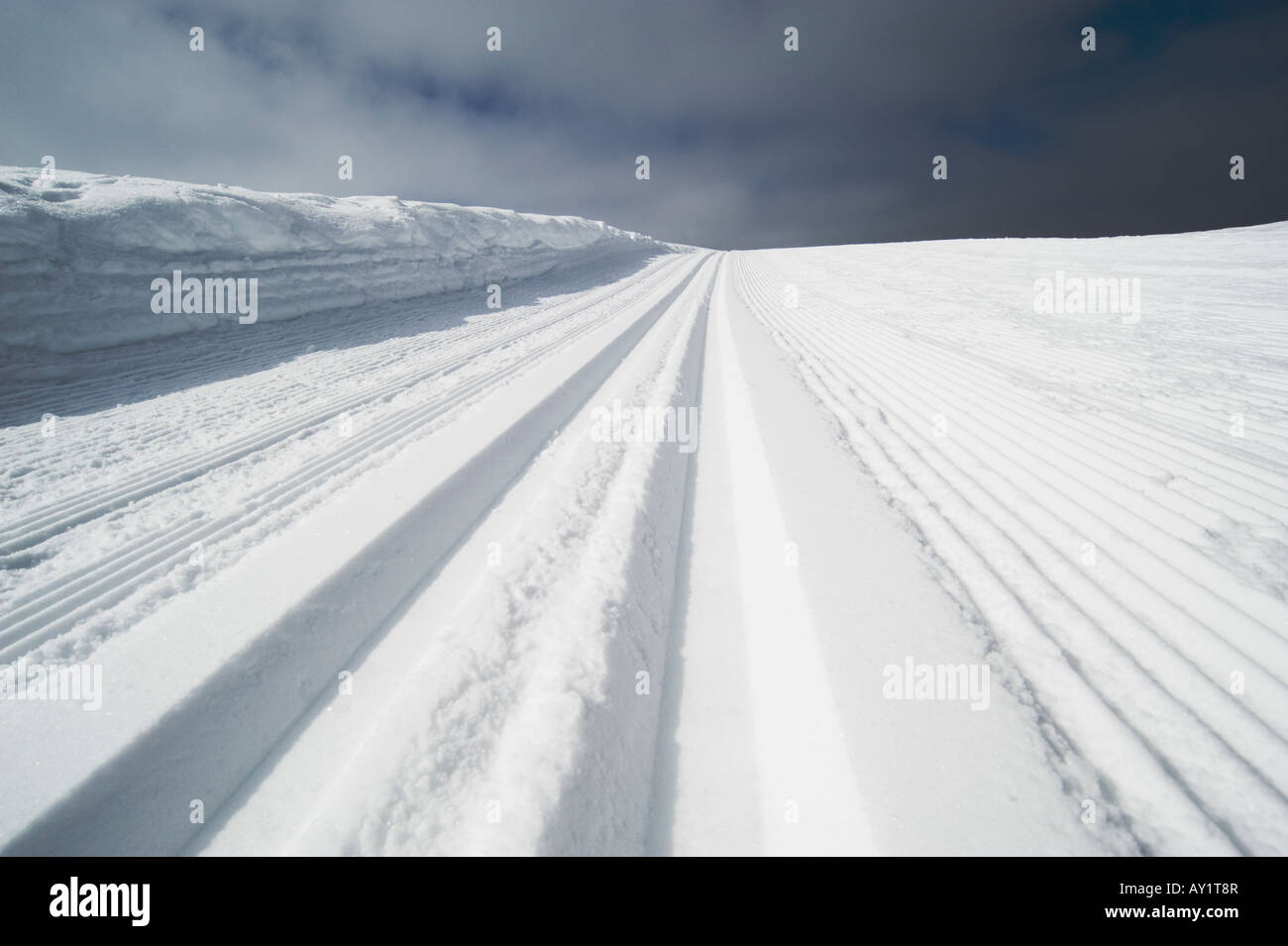 cross country ski piste tracks in snow Stock Photo - Alamy