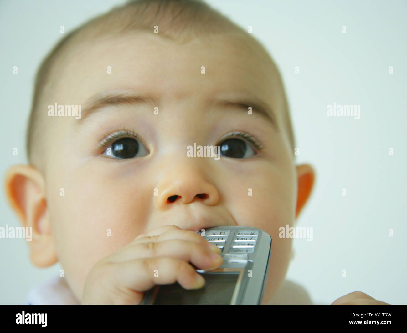 Close-up of a baby girl biting a mobile phone Stock Photo - Alamy
