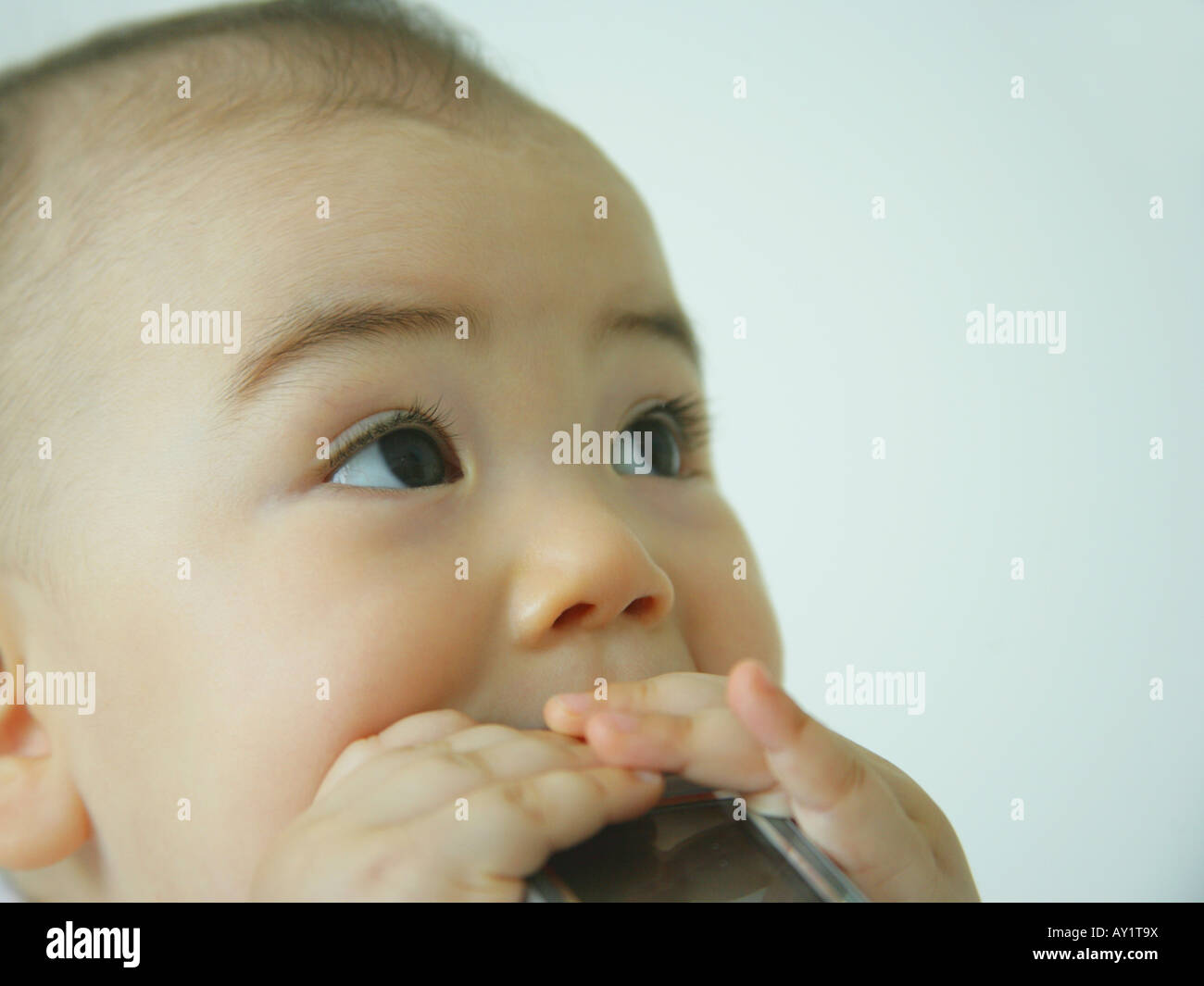 Close-up of a baby girl biting a mobile phone Stock Photo - Alamy