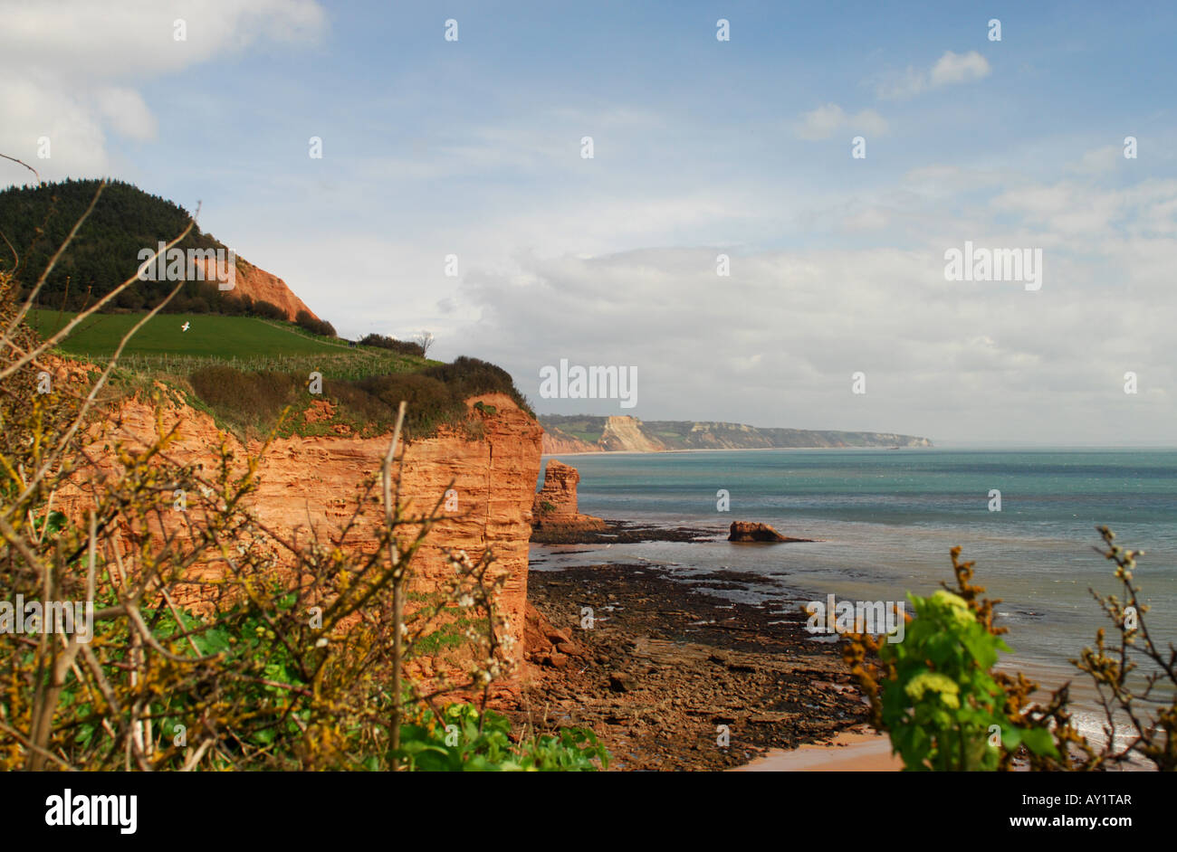 Sandstone sea stack devon hi-res stock photography and images - Alamy