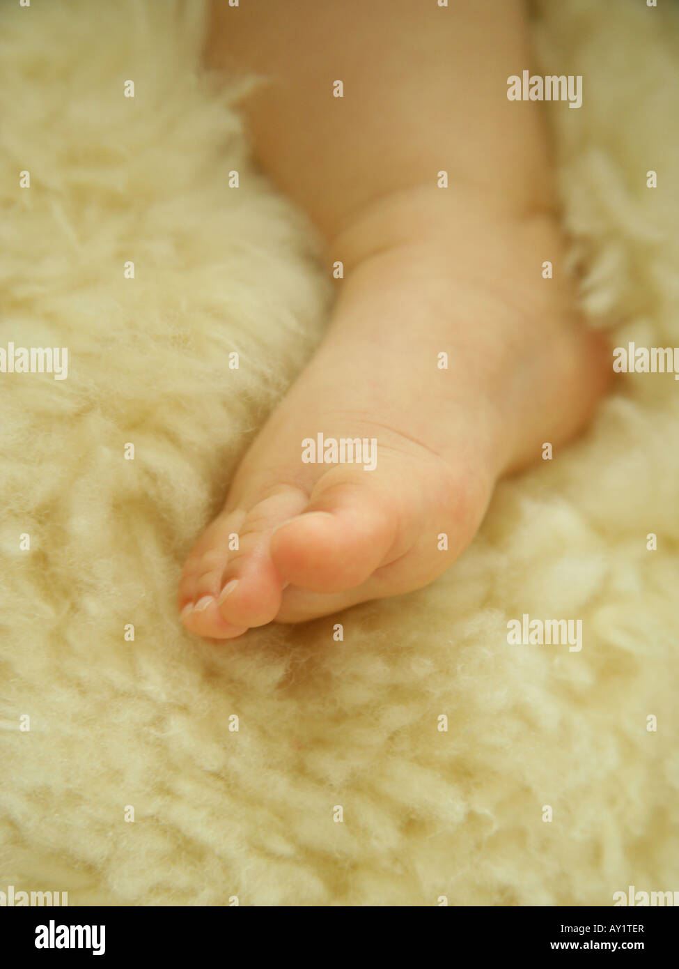 Close-up of a baby's leg Stock Photo - Alamy