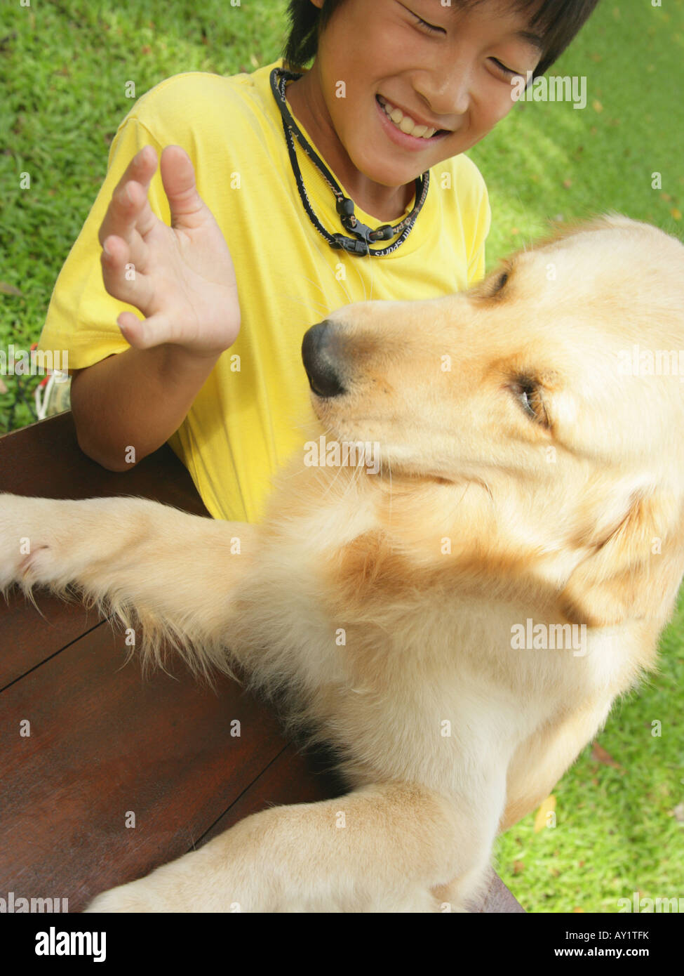 Close-up of a boy playing with a dog Stock Photo - Alamy