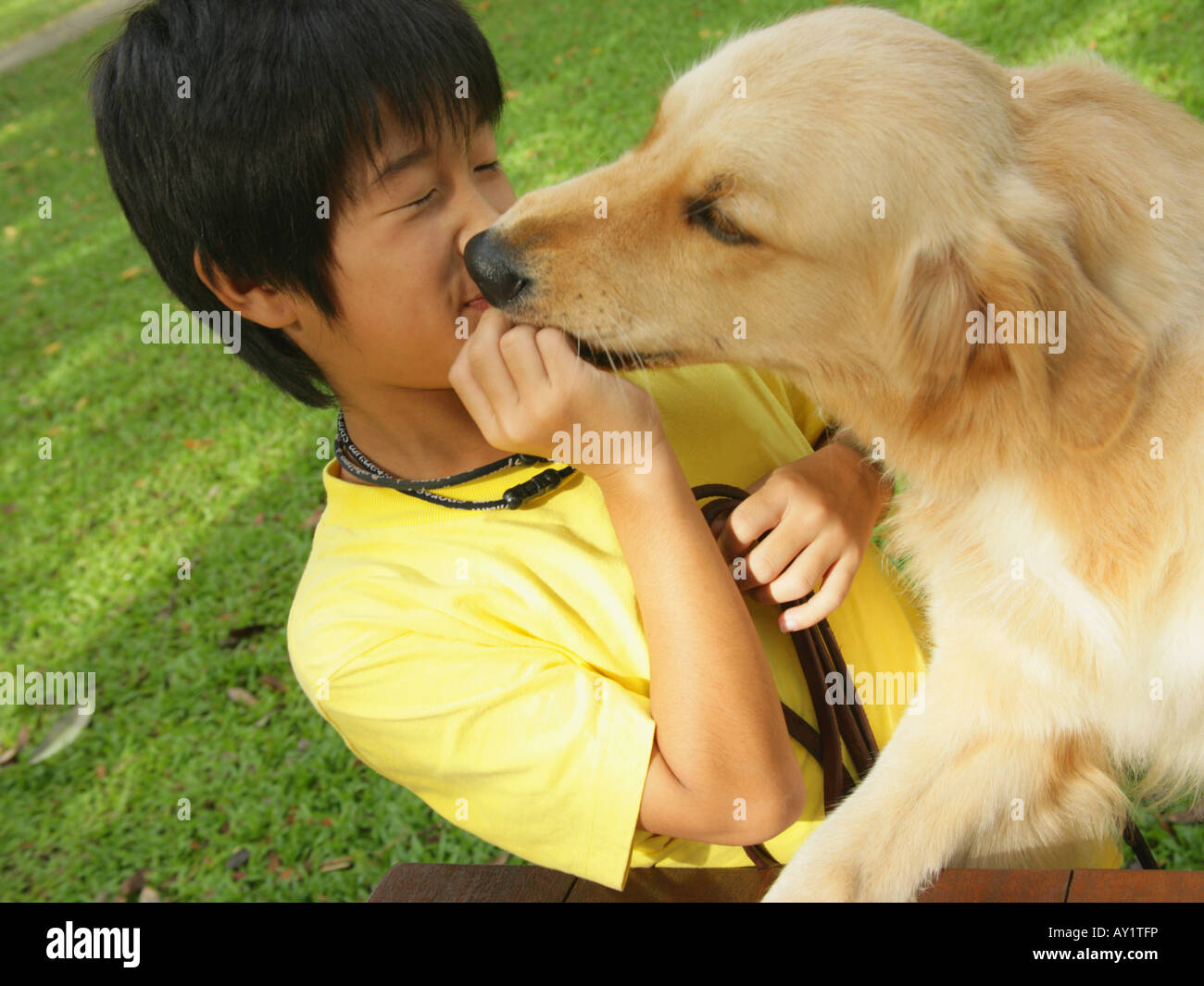Close-up of a boy playing with a dog Stock Photo - Alamy