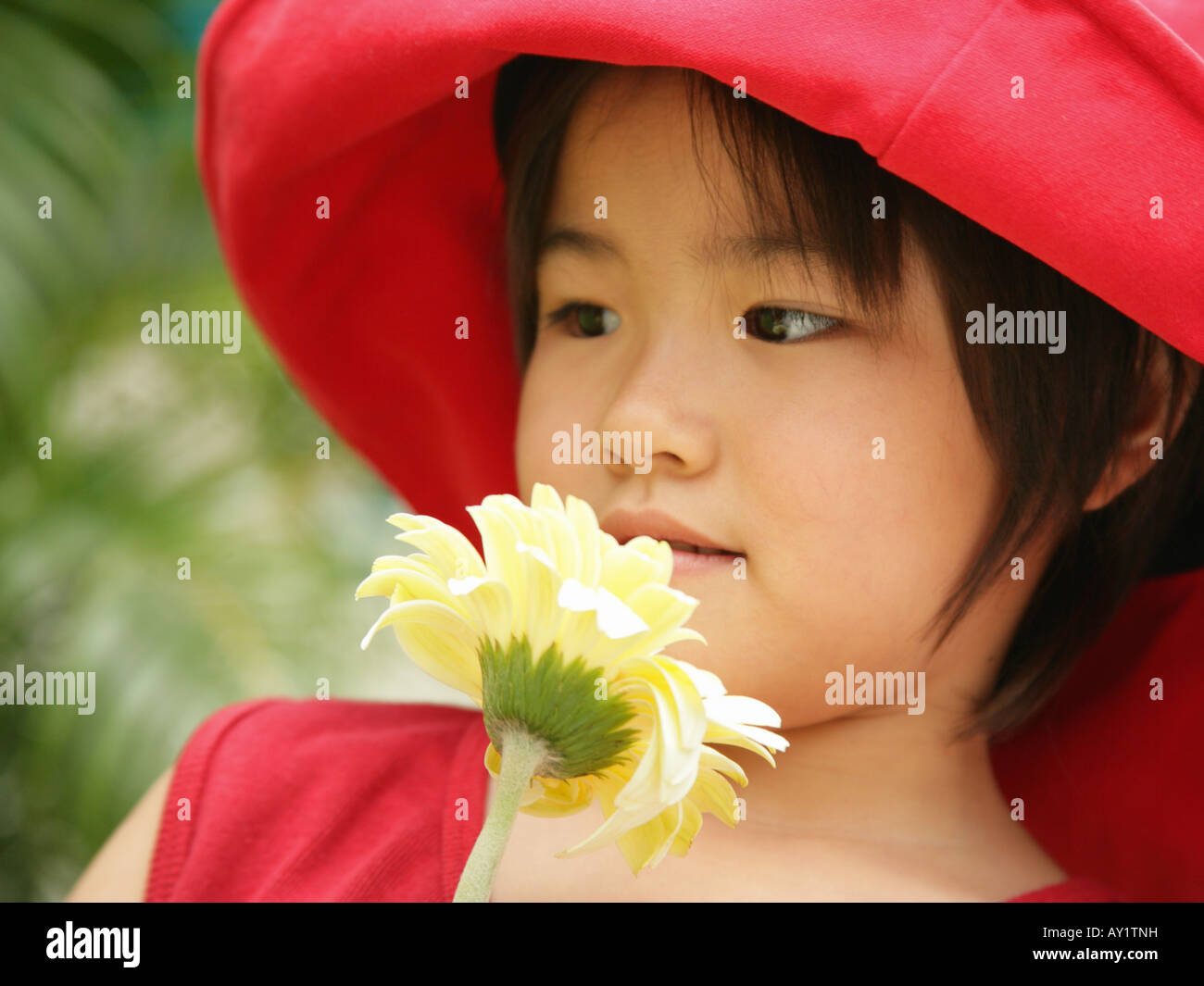 Black child smelling flower hi-res stock photography and images - Alamy