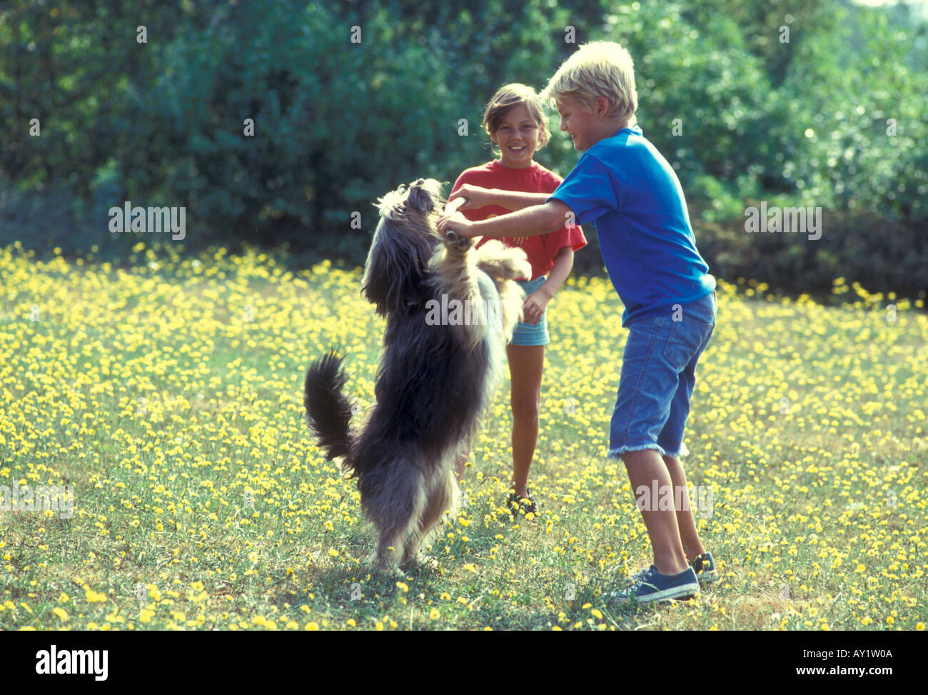 children playing with dog Stock Photo - Alamy