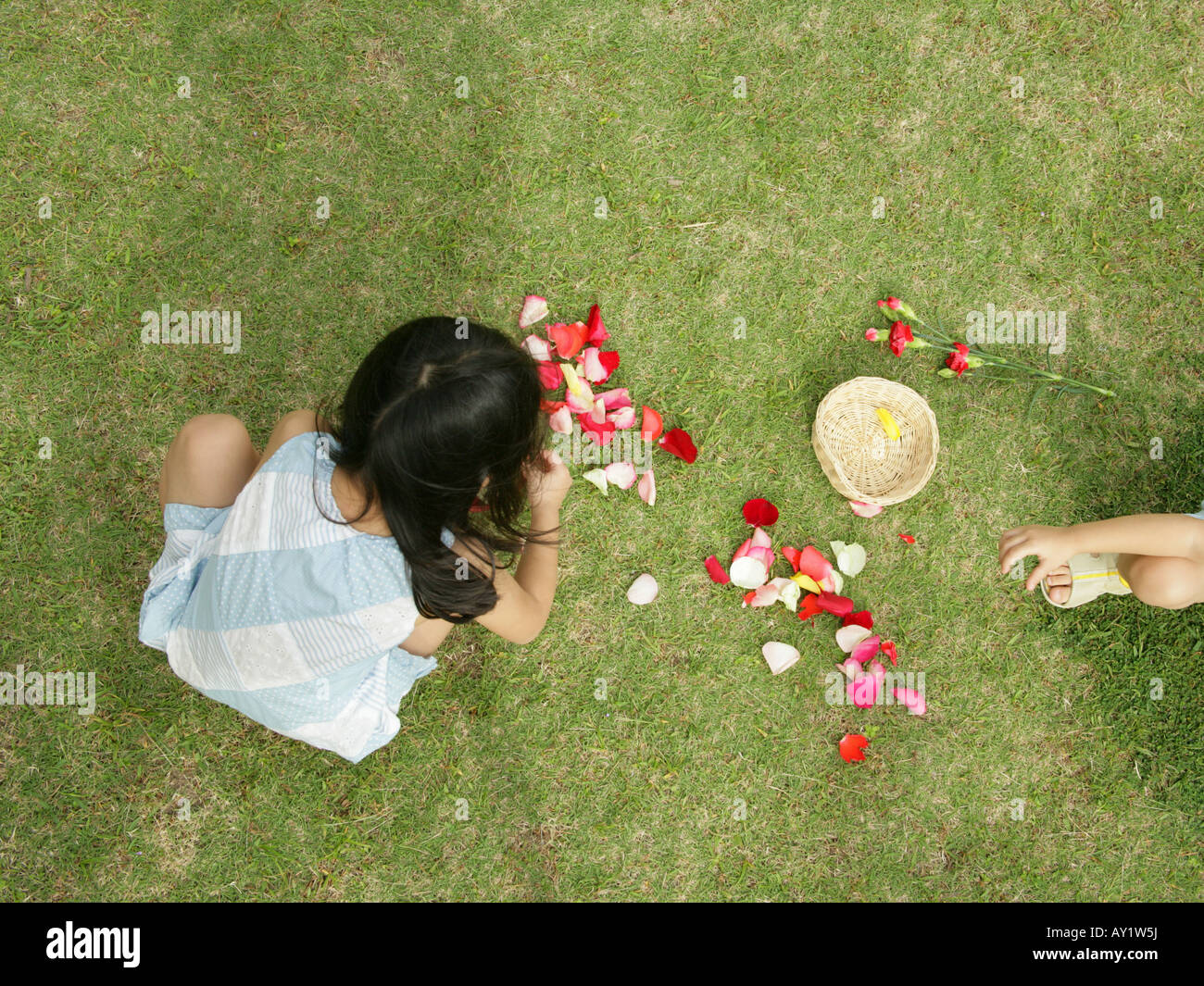 High angle view of a girl crouching on the lawn Stock Photo - Alamy
