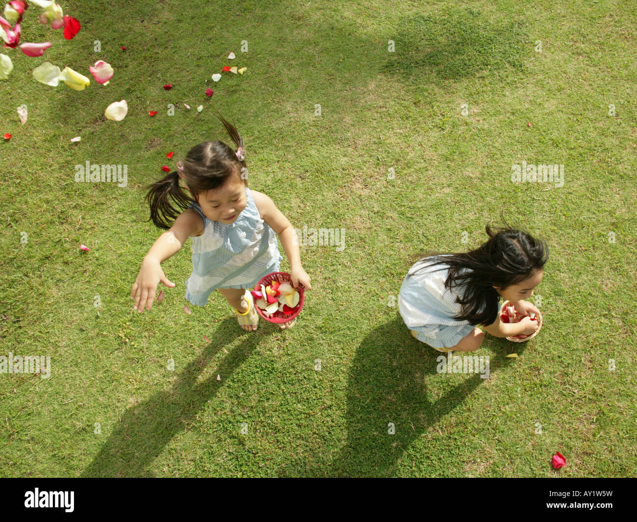 Portrait of two girls throwing rose petals in the air Stock Photo - Alamy
