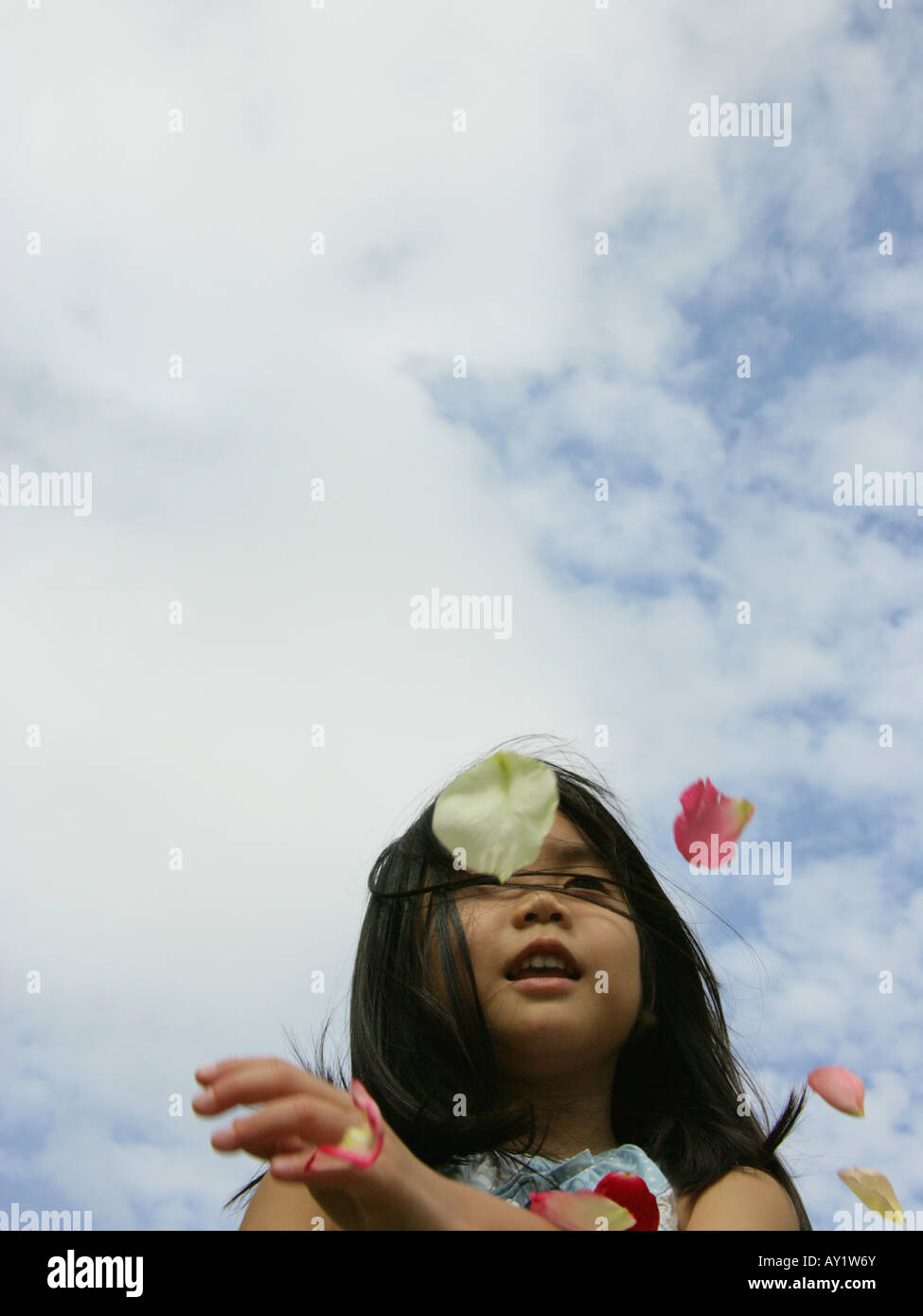 Throwing flower petals hi-res stock photography and images - Alamy