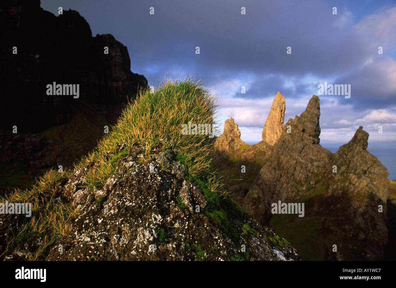 A tuft of grass growing from the top of a rocky outcrop at the Old Man ...