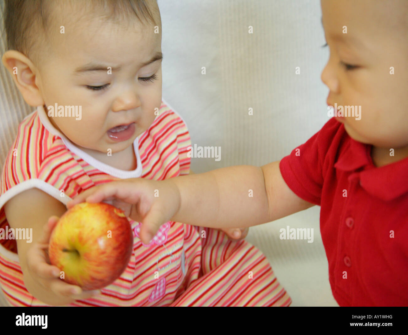 Close-up of a baby boy taking an apple from a baby girl Stock Photo - Alamy