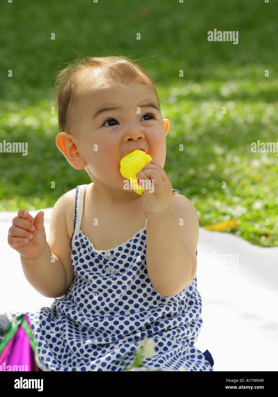Close-up of a baby girl biting a rubber duck Stock Photo - Alamy