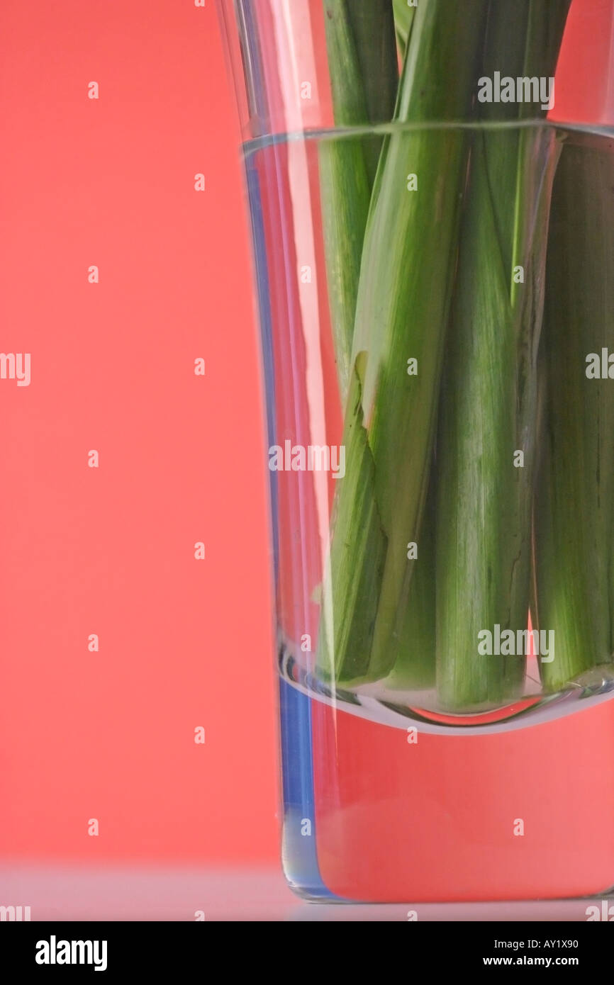 Flower stems in glass vase Stock Photo - Alamy