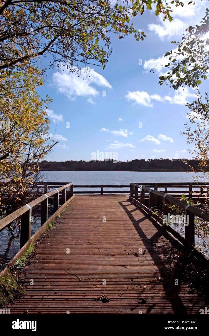Jetty onto Sunny Lake Stock Photo - Alamy