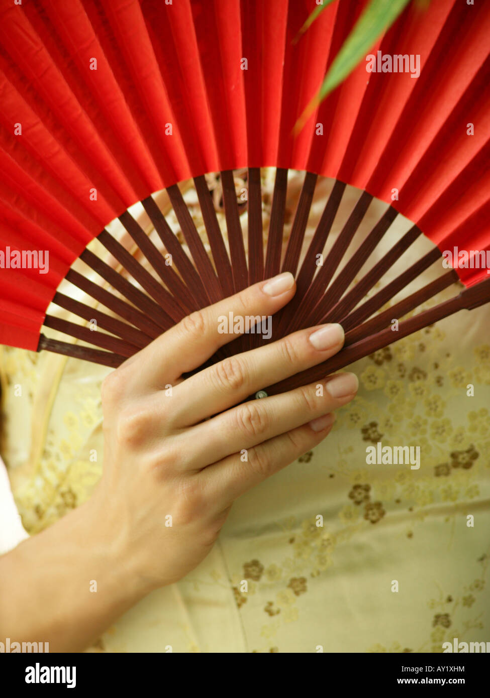 Close-up of a young woman holding a folding fan Stock Photo - Alamy