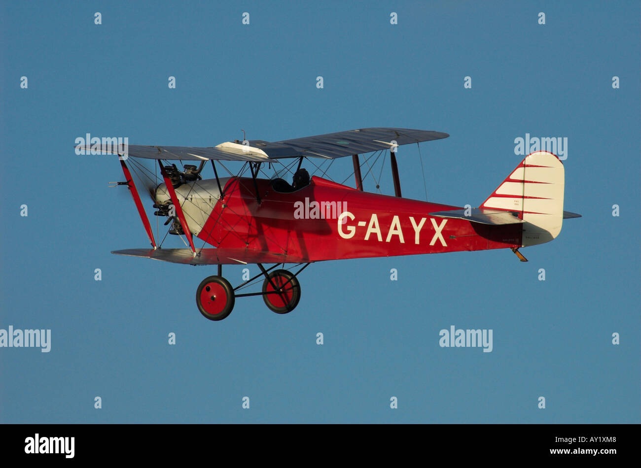 Martlet hi-res stock photography and images - Alamy