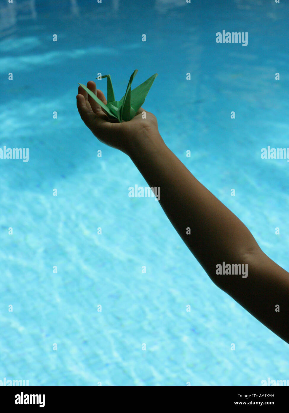High angle view of a person's hand holding a paper swan over a swimming ...
