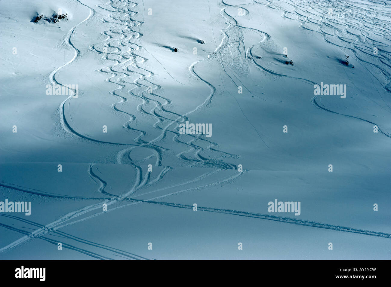 snowboard and ski tracks on snow covered hillside Stock Photo - Alamy
