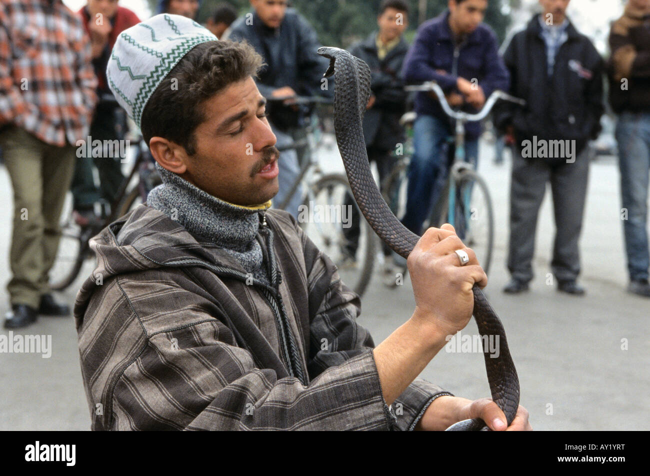 Snake charmer in Marrakech Morocco Stock Photo - Alamy