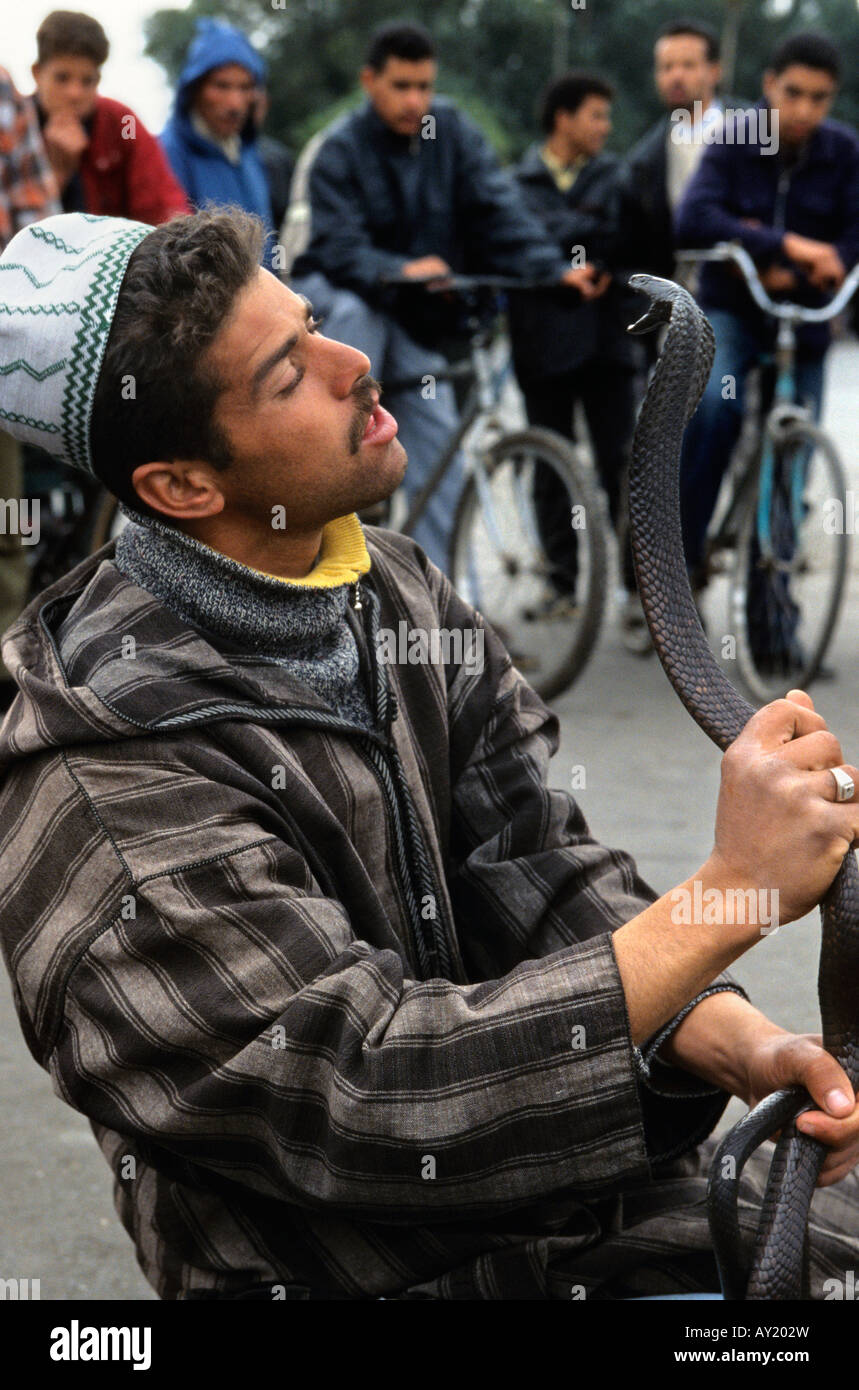 Snake charmer in Marrakech Morocco Stock Photo - Alamy