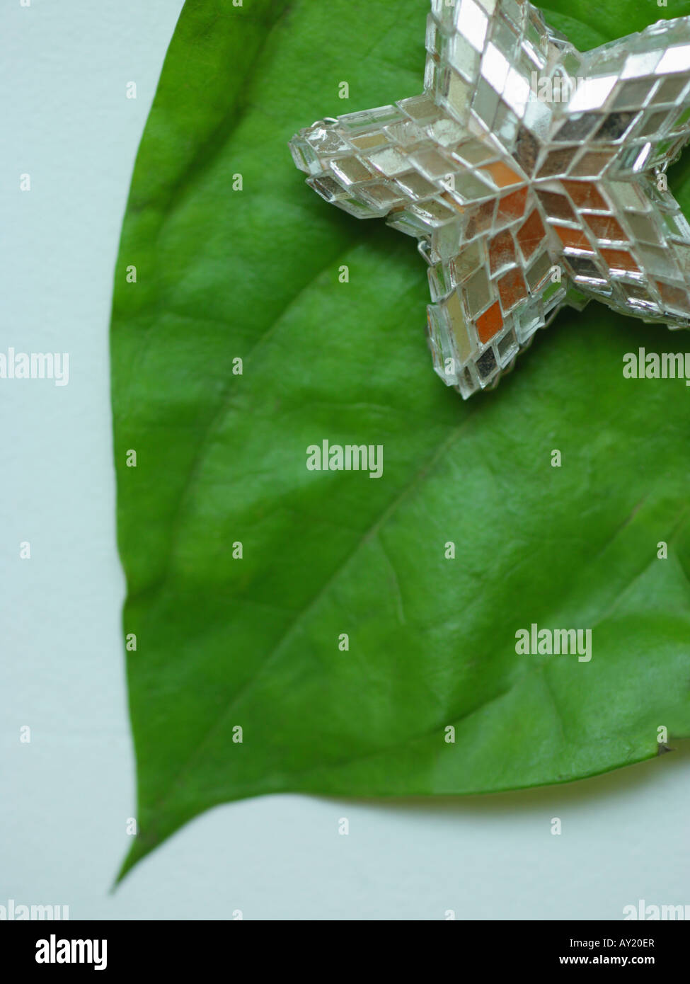 Star shape leaf hi-res stock photography and images - Alamy