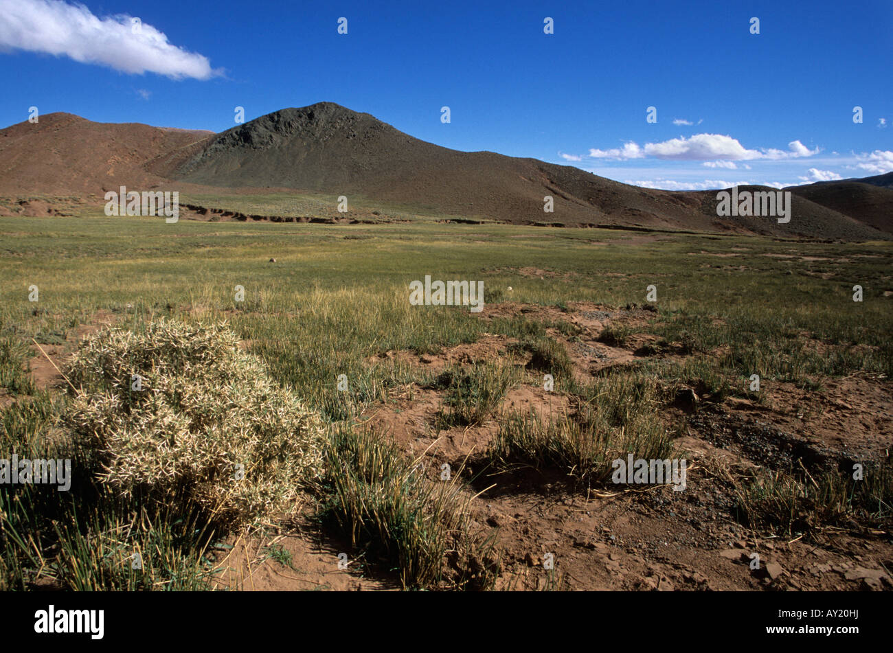 Telouet sun hi-res stock photography and images - Alamy