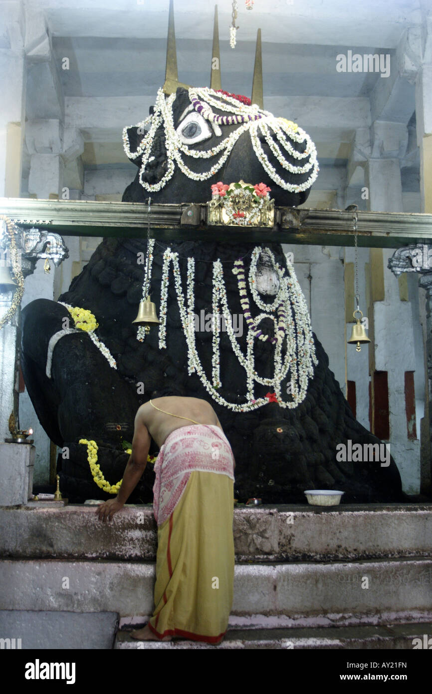 Bangalore bull temple basavanagudi hi-res stock photography and images ...