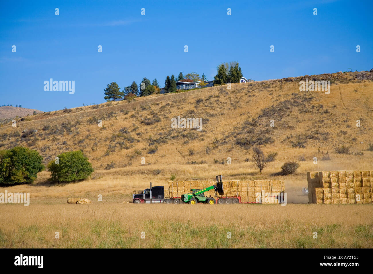 Transportation, Hay, semi load Stock Photo - Alamy