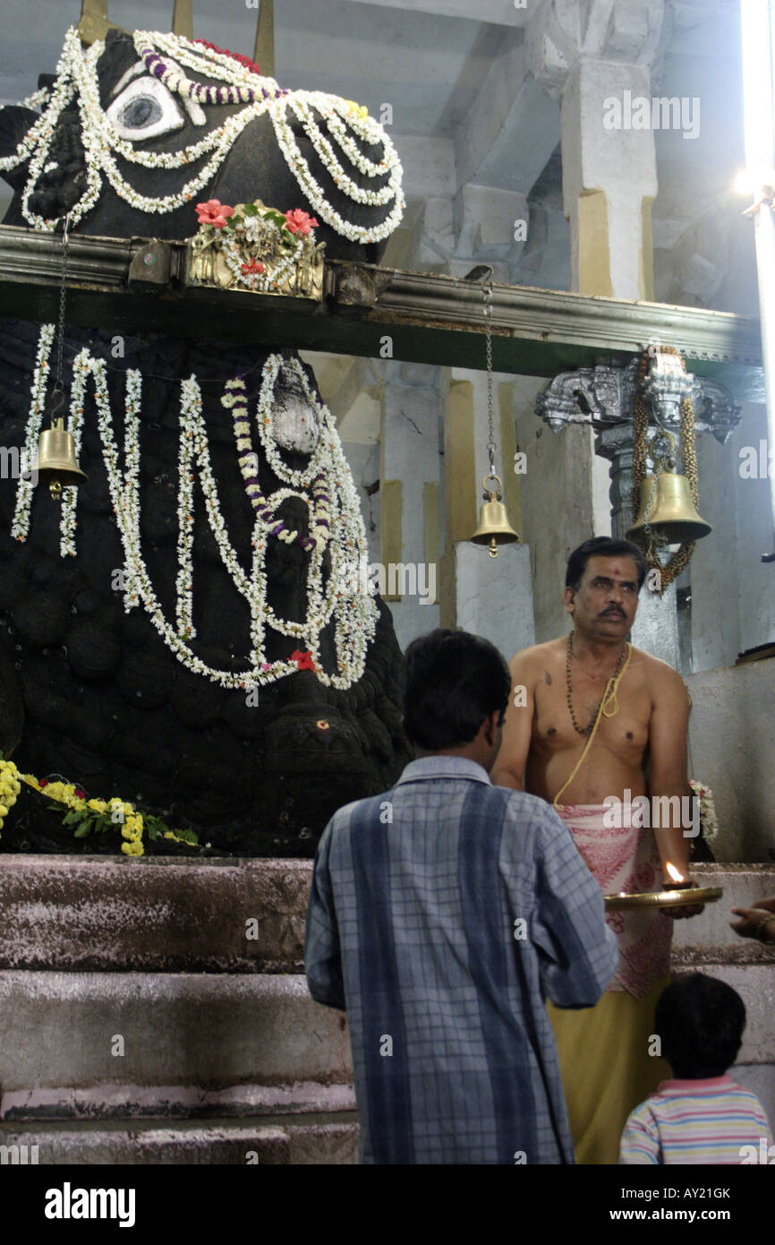 A priest holds a puja in the Bull Temple in the Basavanagudi district ...