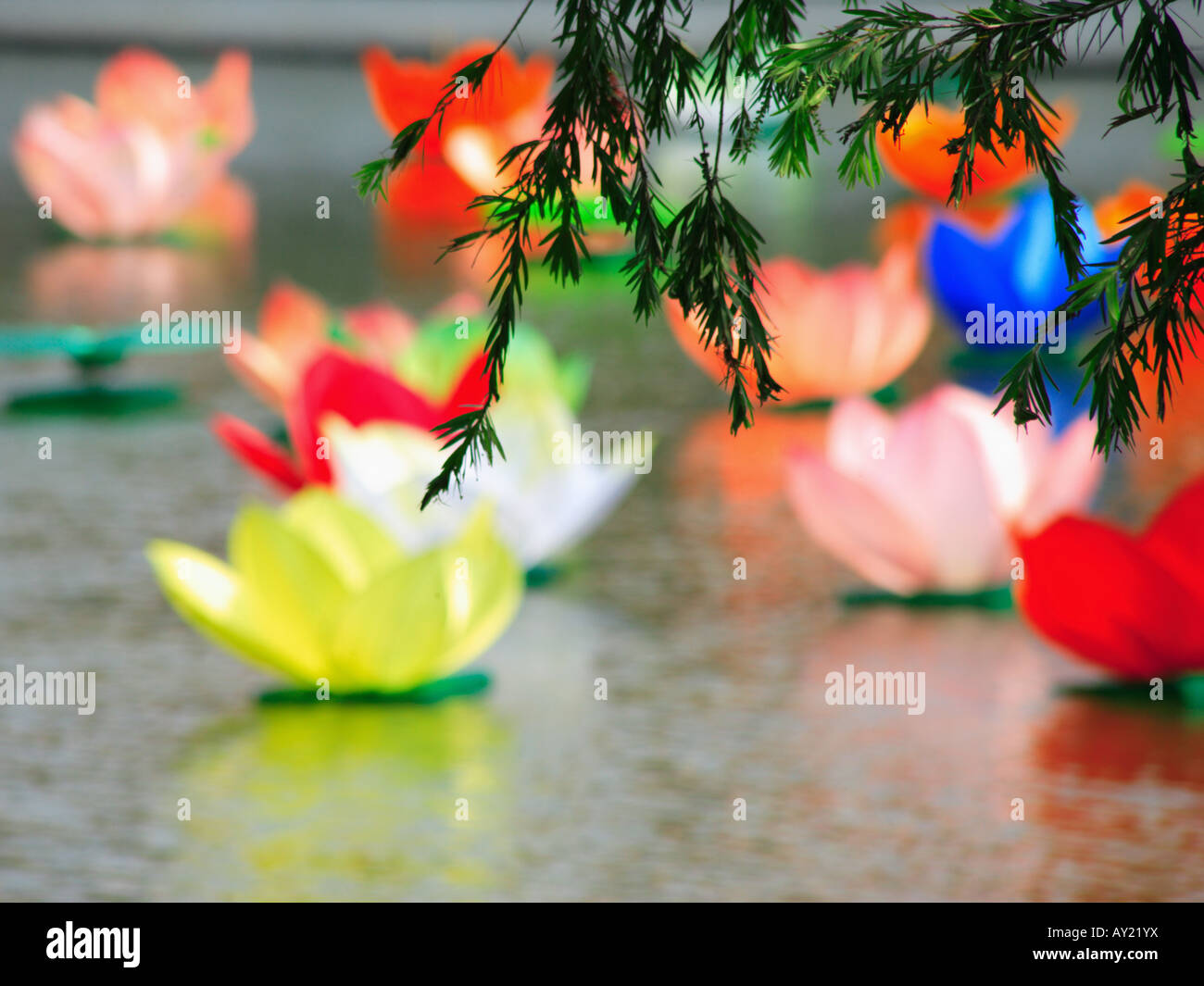 Chinese new year flower arrangement hi-res stock photography and images ...