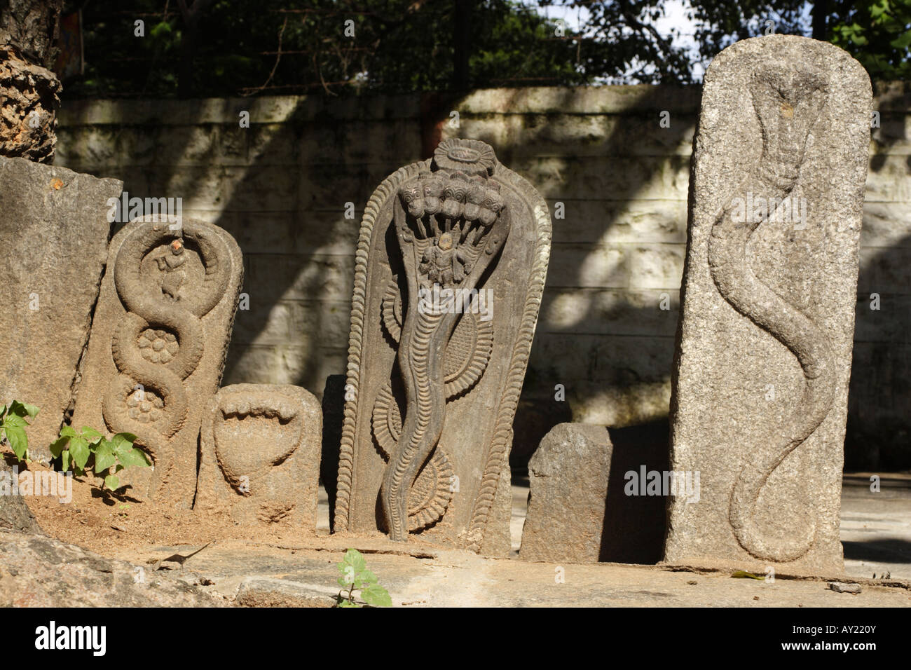 Stones representing images of snakes near the Bull Temple in Bangalore ...