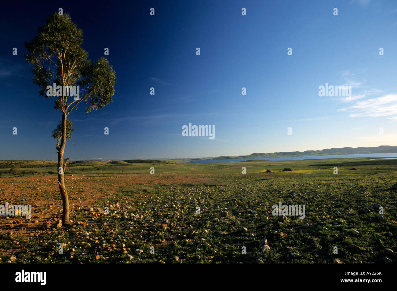 Massira hi-res stock photography and images - Alamy