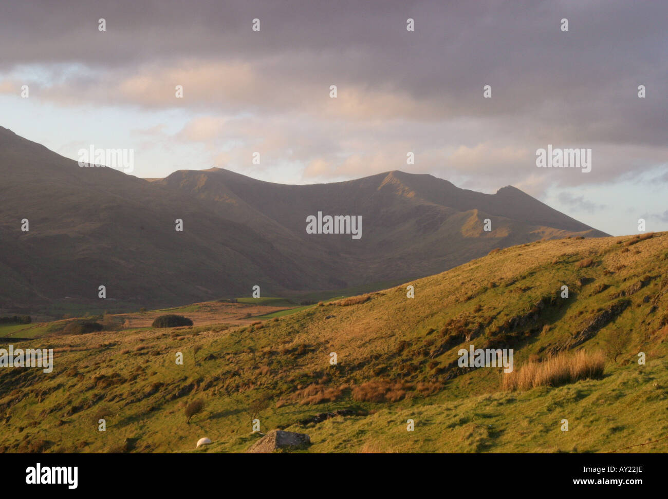 Nantle hi-res stock photography and images - Alamy